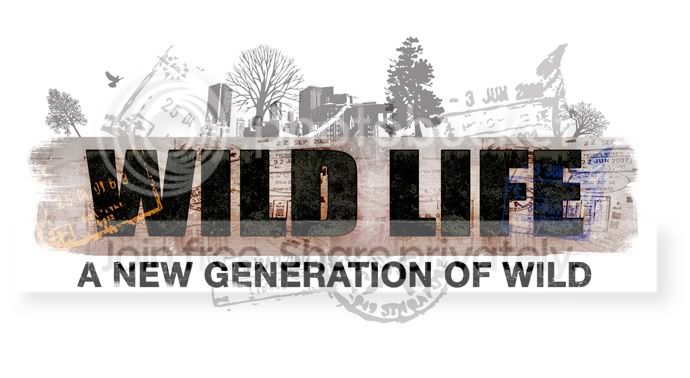 James Lafferty - James, Stu & Stephen {Wild Life: A New Generation of ...